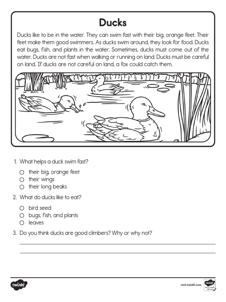 Fun Facts About Ducks for Kids | PDF