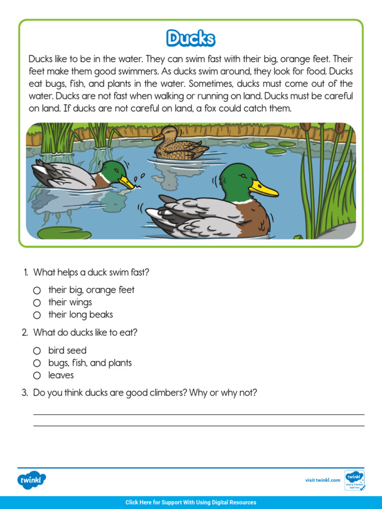 Digital First Grade Ducks Reading Passage Comprehension Activity | PDF