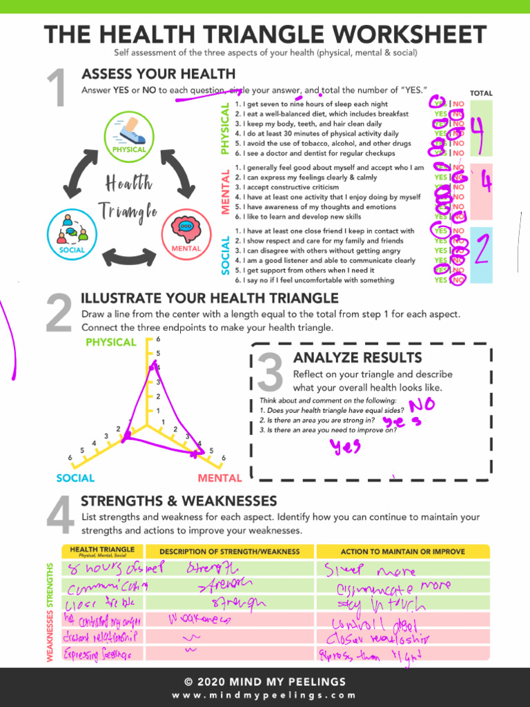 Health Triangle Assessment Worksheet - March 2024 | PDF