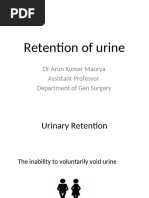 Foley Catheter Use and Care Guide | PDF | Urinary Incontinence | Catheter