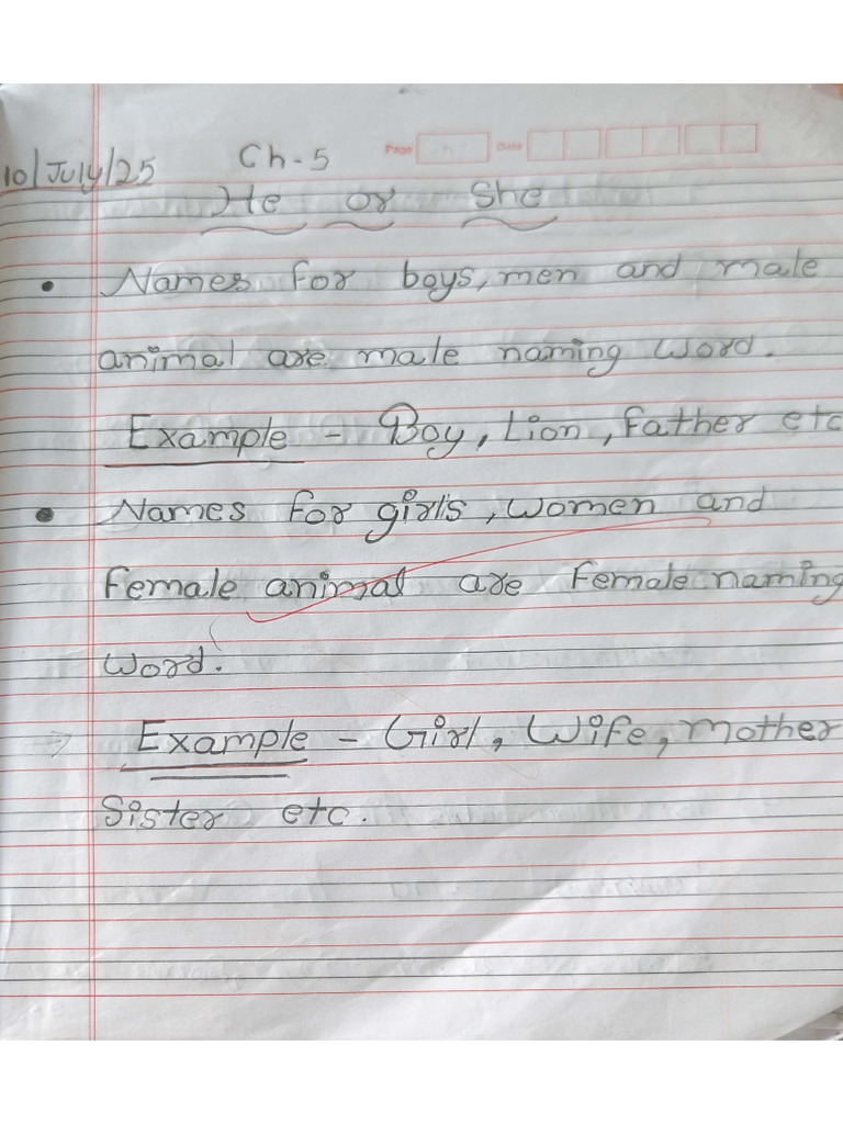 Grammar Copy Work | PDF