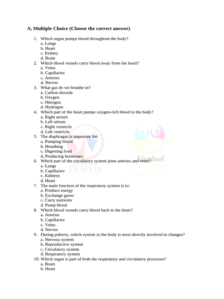 Human Body Systems Quiz and Answers | PDF | Human Body | Circulatory System