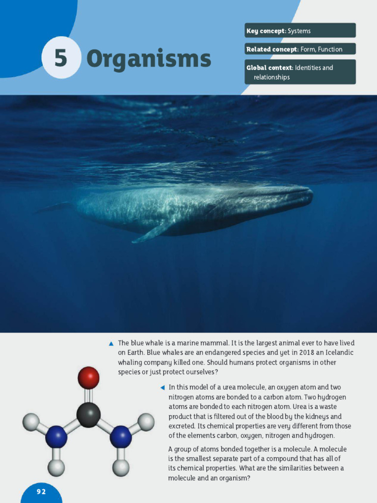 MYP 3 Science Book | PDF | Plant Stem | Abdomen
