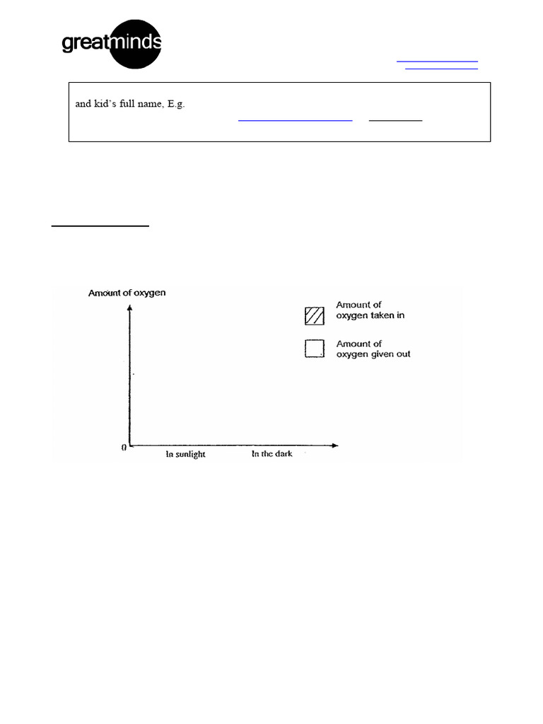 Test 6B - Student's | PDF