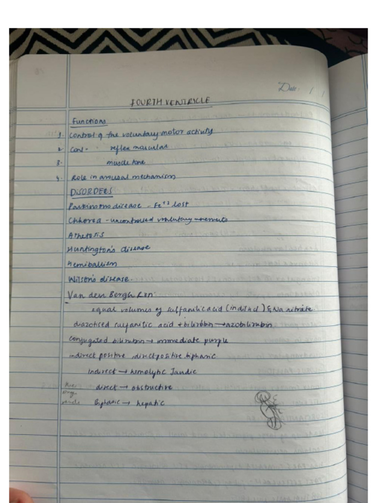 Head and Neck Notes For HAQs Revision and Perfect Reading | PDF