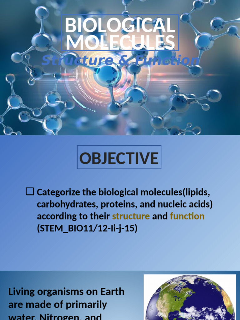 Biological Molecules (826397163926252969) | PDF | Carbohydrates ...