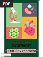 Class 10 Science: Our Environment Notes | PDF | Ecosystem | Food Web