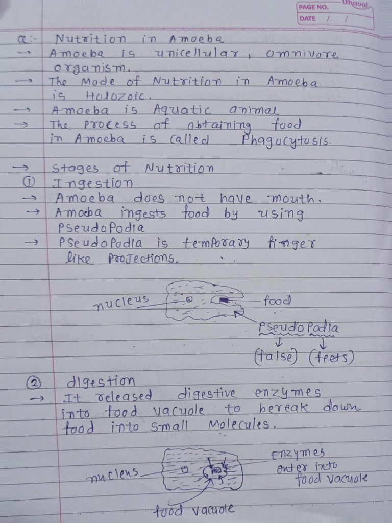 Nutrition Science | PDF