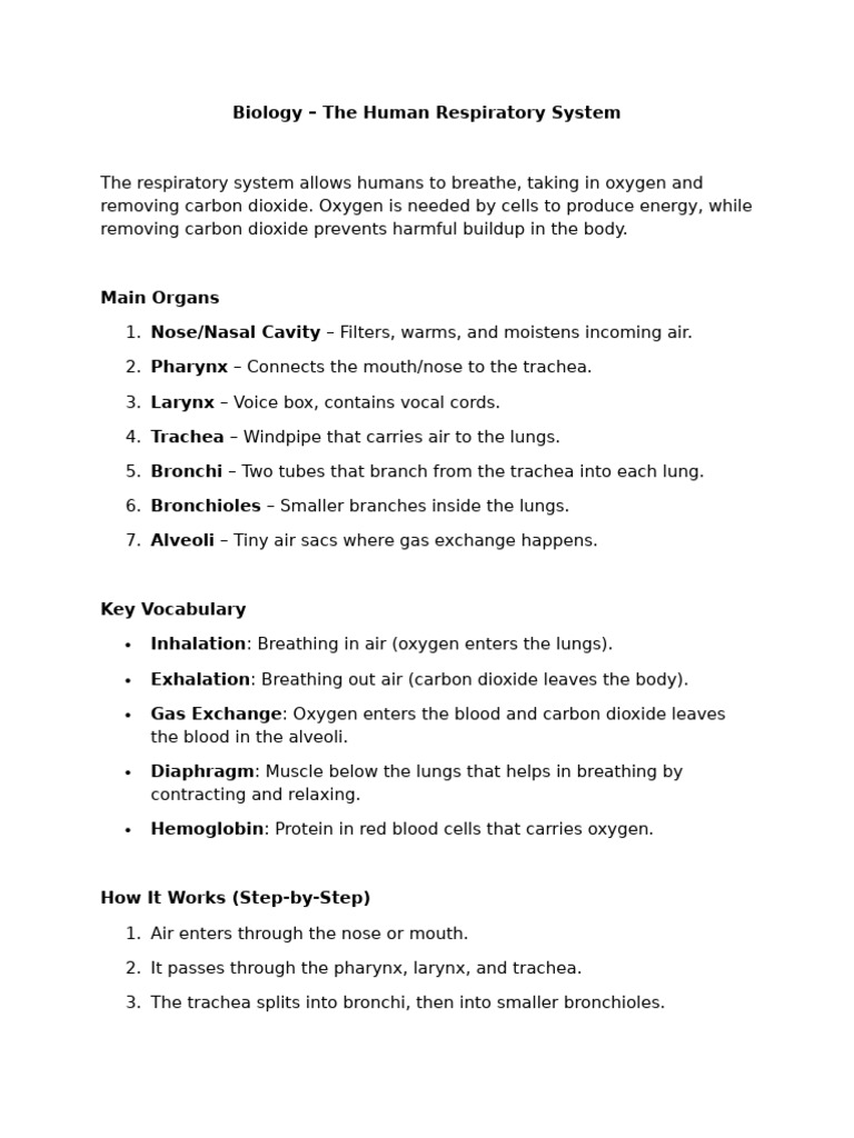 Simple Diagram of Human Respiration | PDF