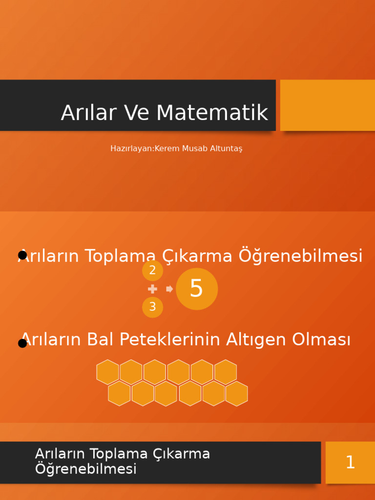 Arılar Ve Matematik Matmatik Arıların Matemayiği | PDF