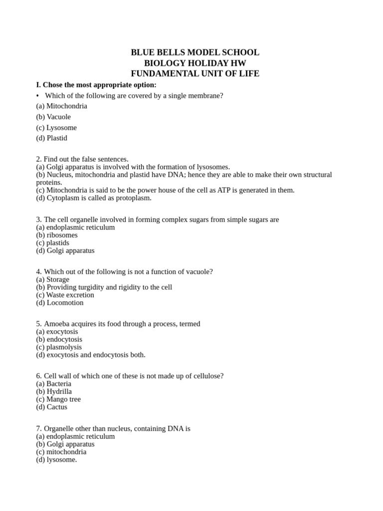 Summer HHW Bio | PDF | Cell (Biology) | Endoplasmic Reticulum