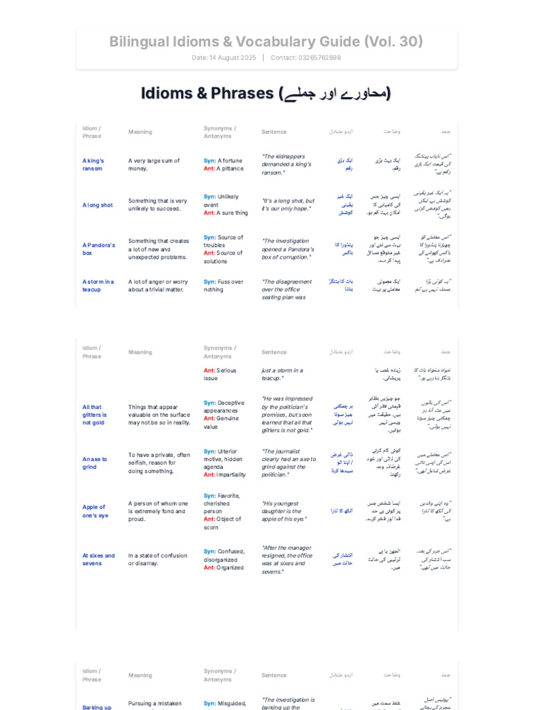 Idioms & Vocabulary Guide Vol. 30 | PDF