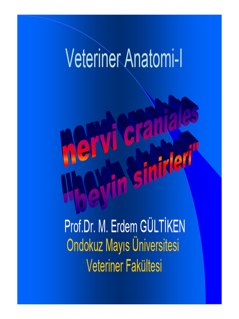 Systema Nervosum Periphericum - Nervi Craniales | PDF