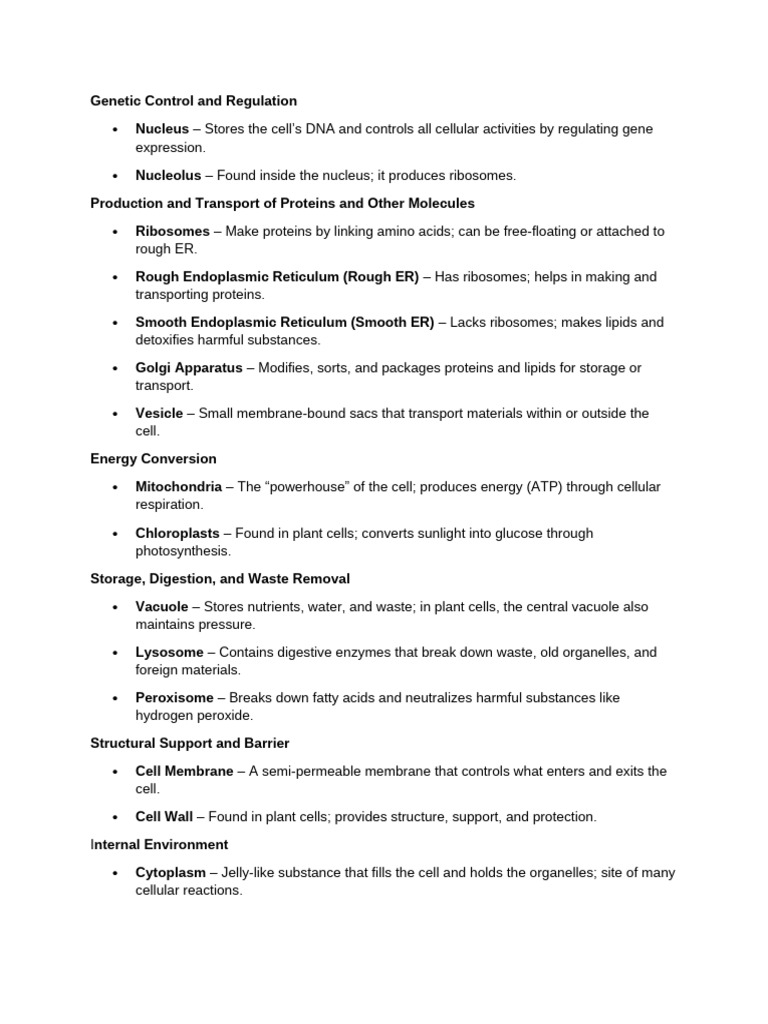 Cell Structure and Function Overview | PDF