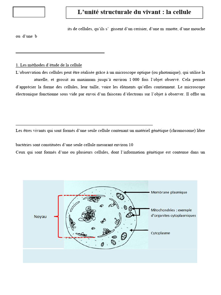 La cellule : unité du vivant et fonctions | PDF | Cellule (Biologie ...