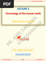 Teeth Eruption and Calcification Chart | PDF | Tooth | Human Head And Neck