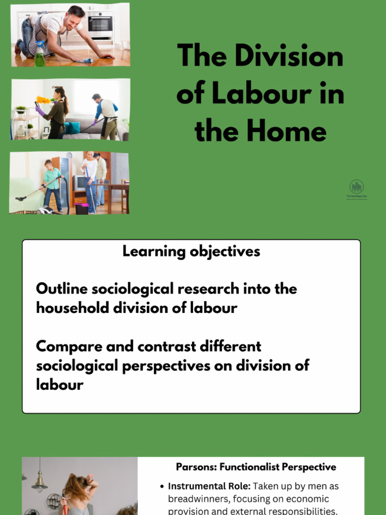 Division of Labour | PDF