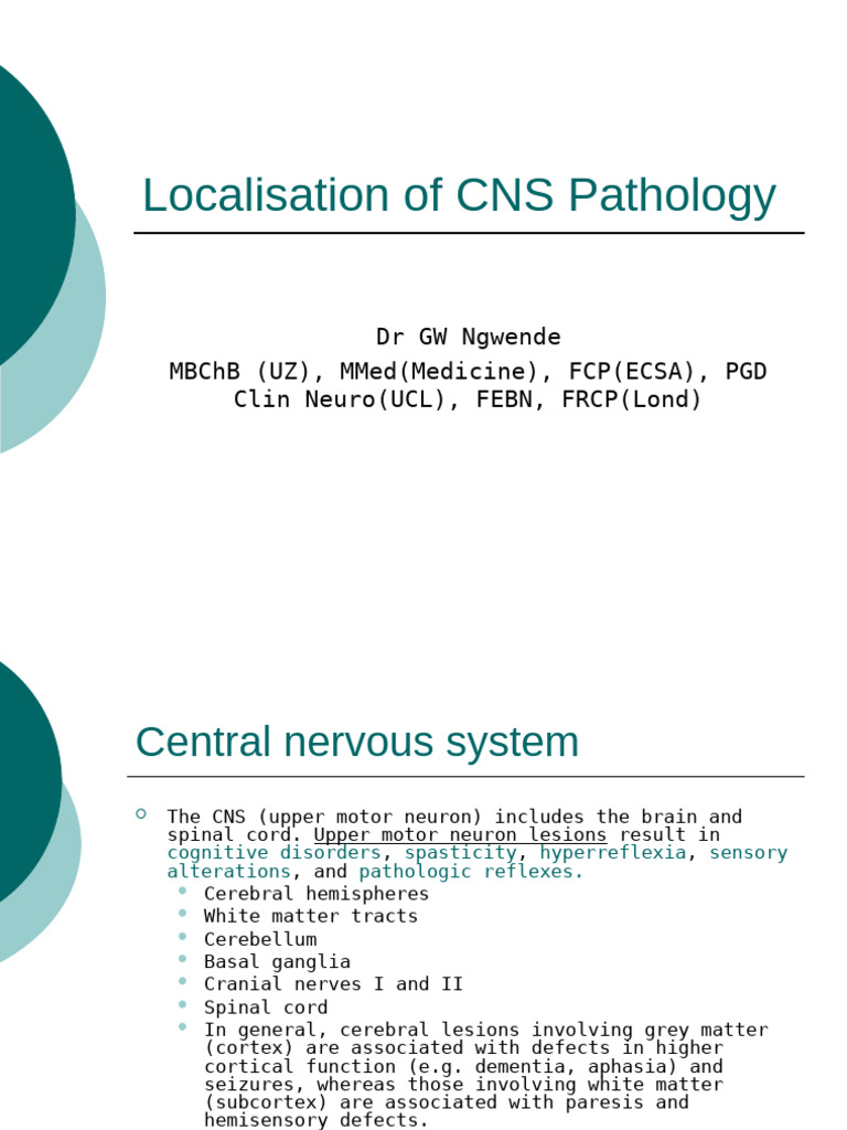 1 - Neurologic Localization | PDF | Central Nervous System | Spinal Cord