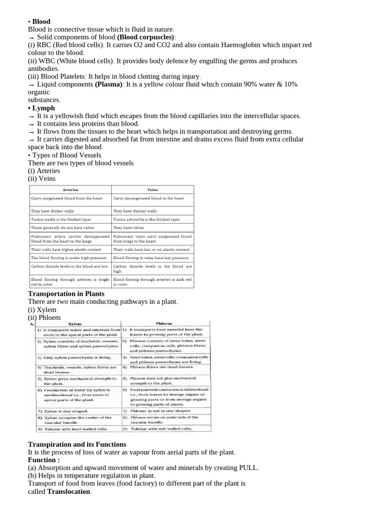 1753031265812_refrence_for_class_work__Human_excretion | PDF | Kidney | Urinary System
