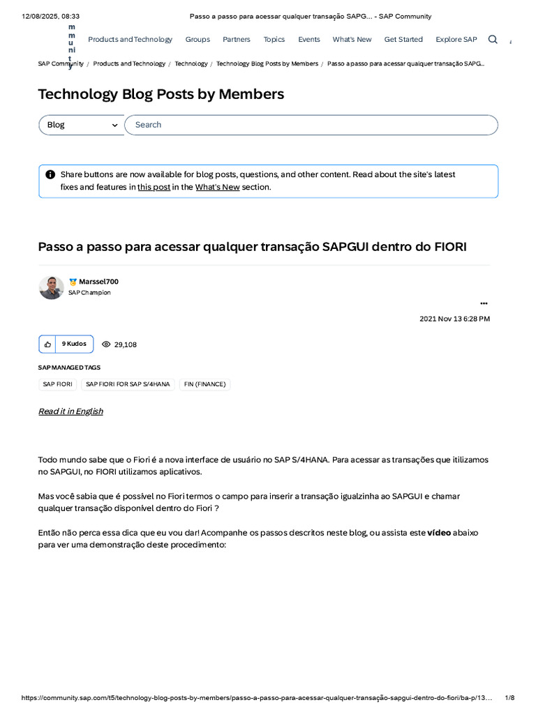 Sap Gui Fiori Ok Code | PDF | Multimídia | Informática