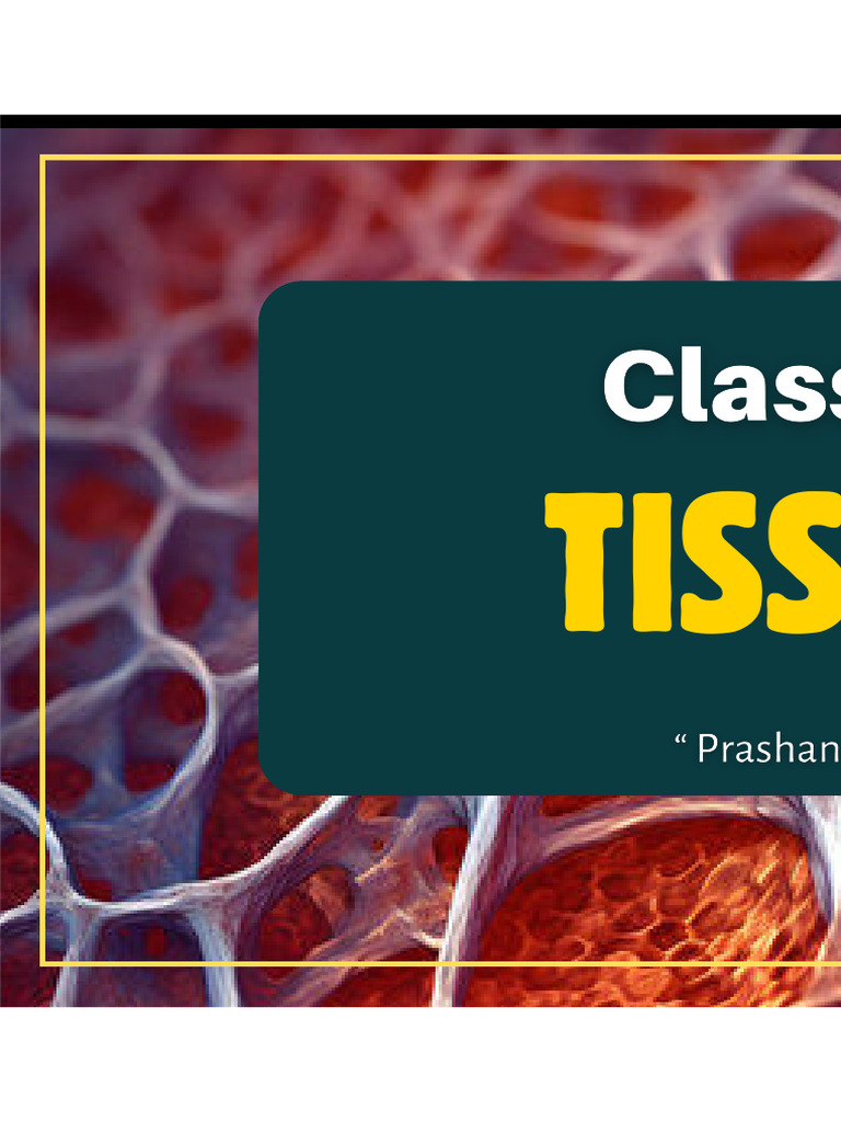 Class 9th - TISSUES (Prashant Kirad) | PDF | Epithelium | Muscle