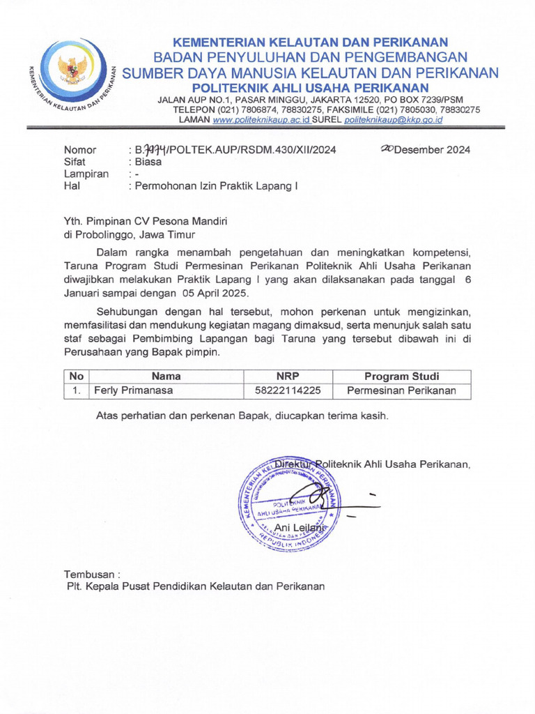 CV Pesona Mandiri-Ferly Primanasa | PDF