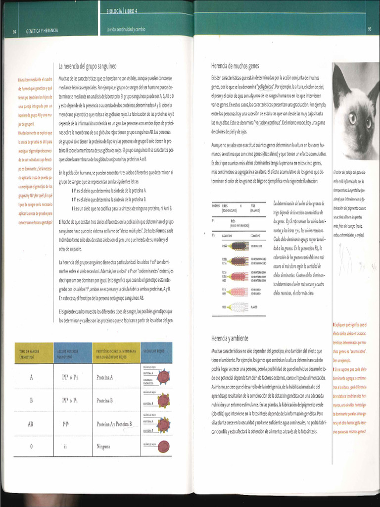 Herencia y Genetica-Alelismo Multiple y Herencia Ligada Al Sexo | PDF