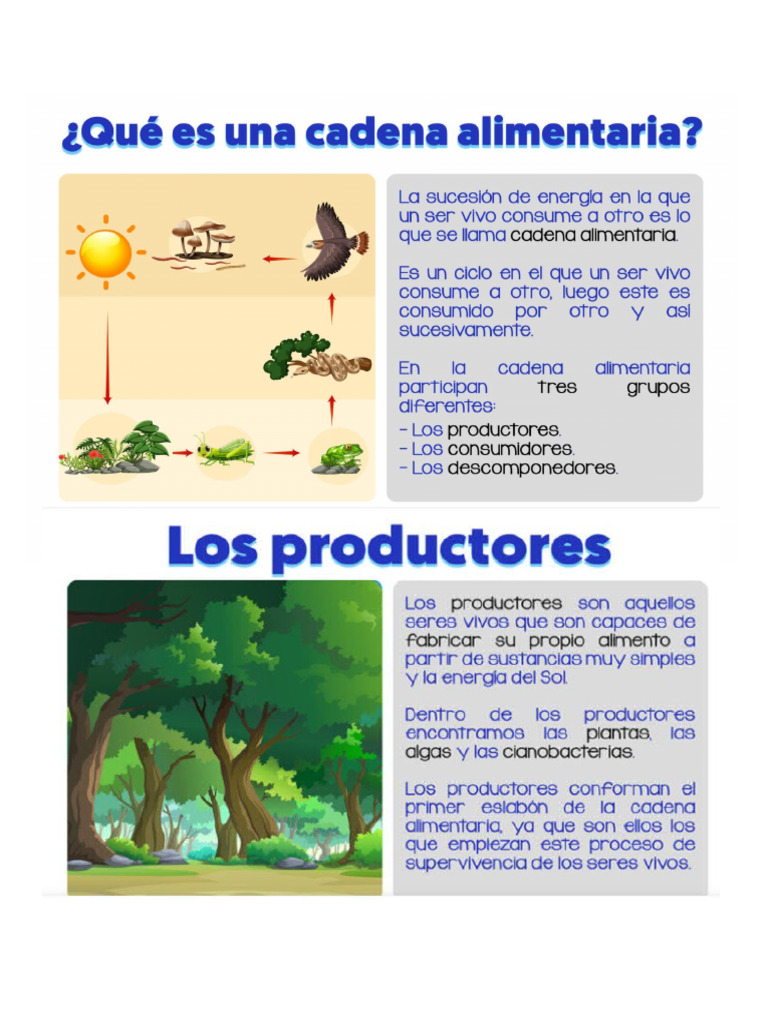 Cadena Alimenticia Daniela | PDF