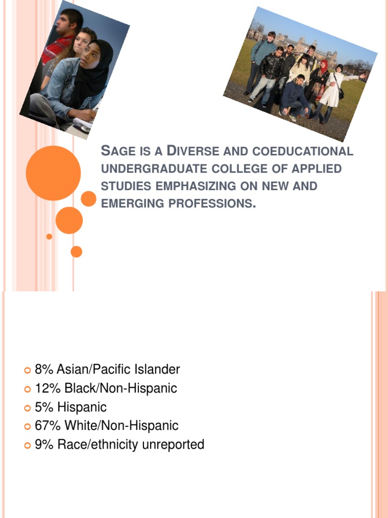 Minority Presentation Project | PDF | Foreign Language Studies