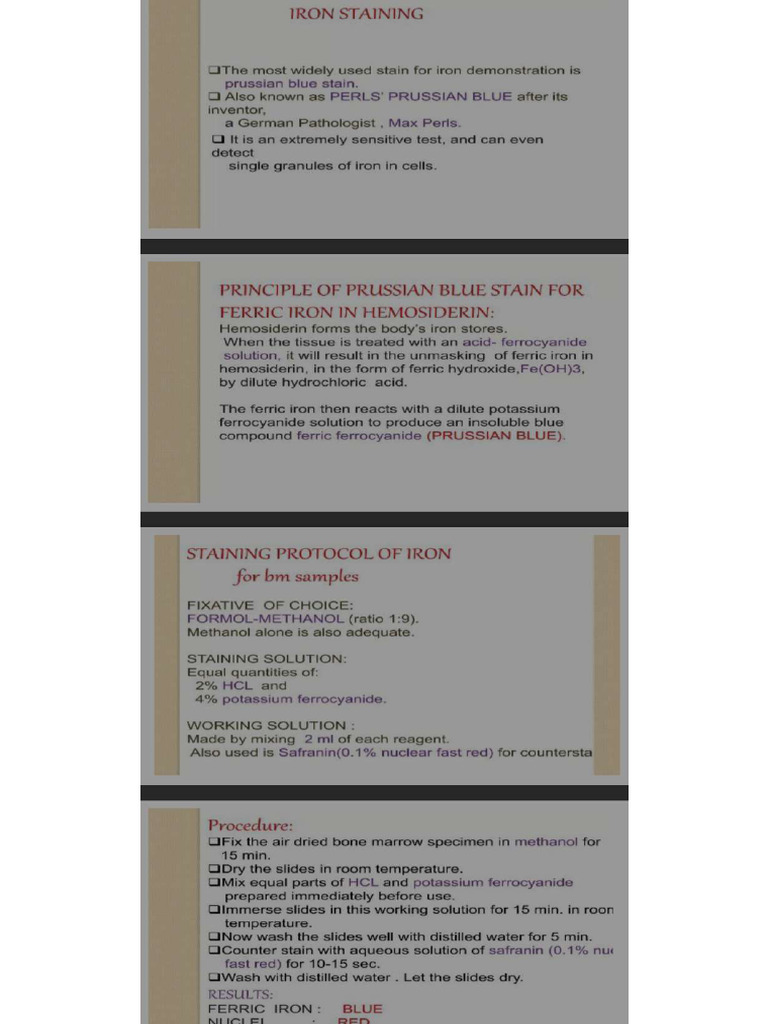 Practical No -11(Iron,Reticulocyte,MPO Staining) | PDF