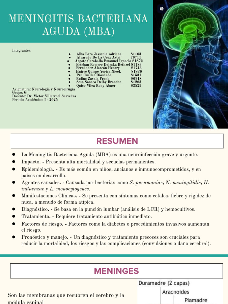 MENINGITIS BACTERIANA AGUDA | PDF | Meningitis | Especialidades Medicas