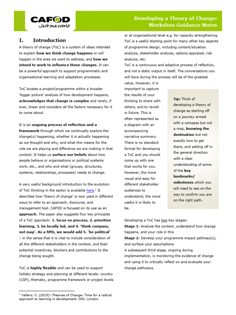 Theory of Change Workshop Guidance | PDF