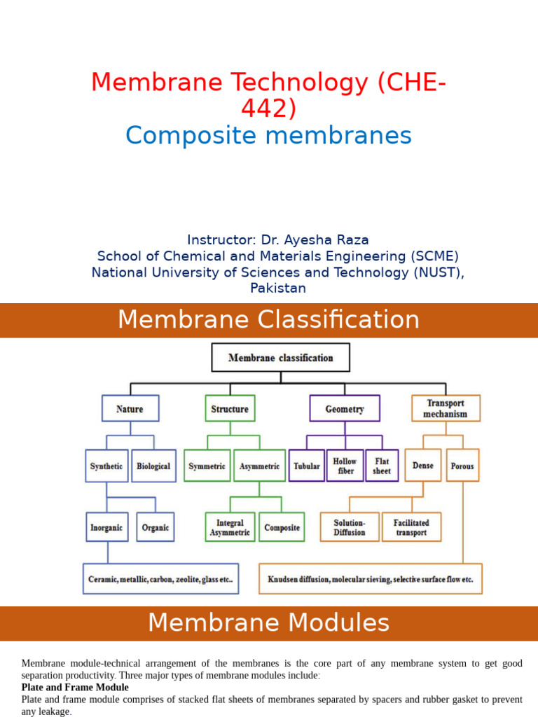 Membrane Transport Mechanisms | PDF | Diffusion | Membrane