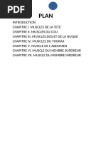 Anatomie des Muscles de la Face | PDF | Lèvre | Anatomie