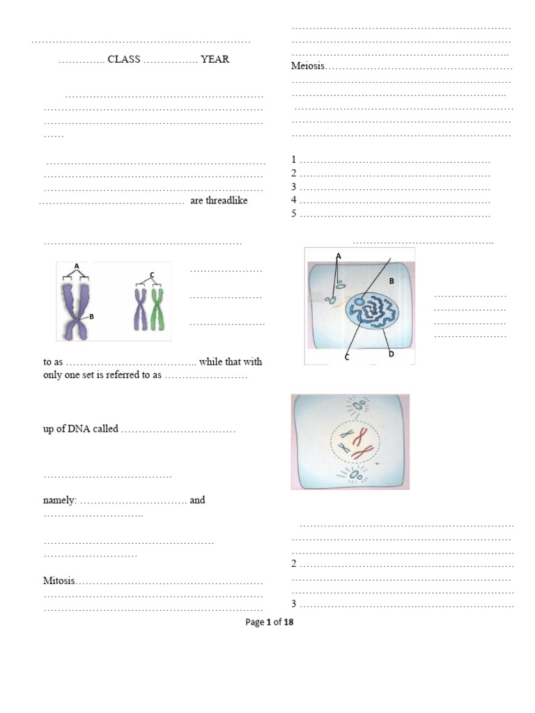 Reproduction Topical Questions Form3 | PDF | Biological Interactions | Anatomy