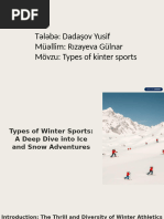 Top 17 Ice Sports Explained | PDF | Sledding | Ice Hockey
