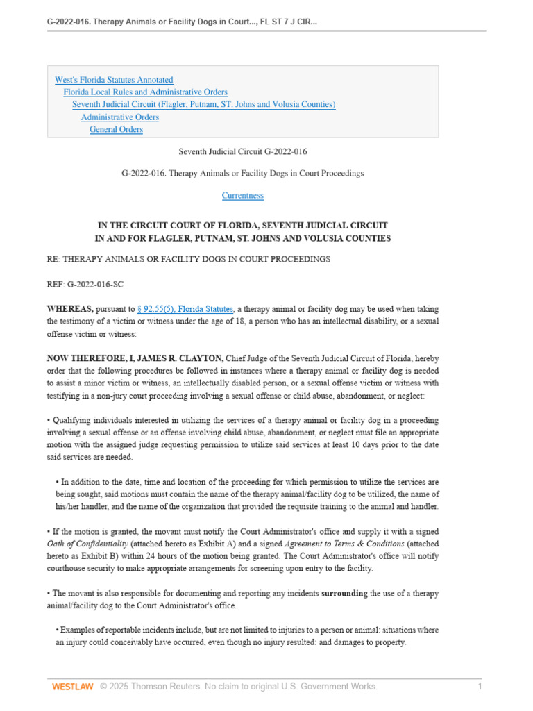Therapy Animals in Florida Court Procedures | PDF | Confidentiality ...