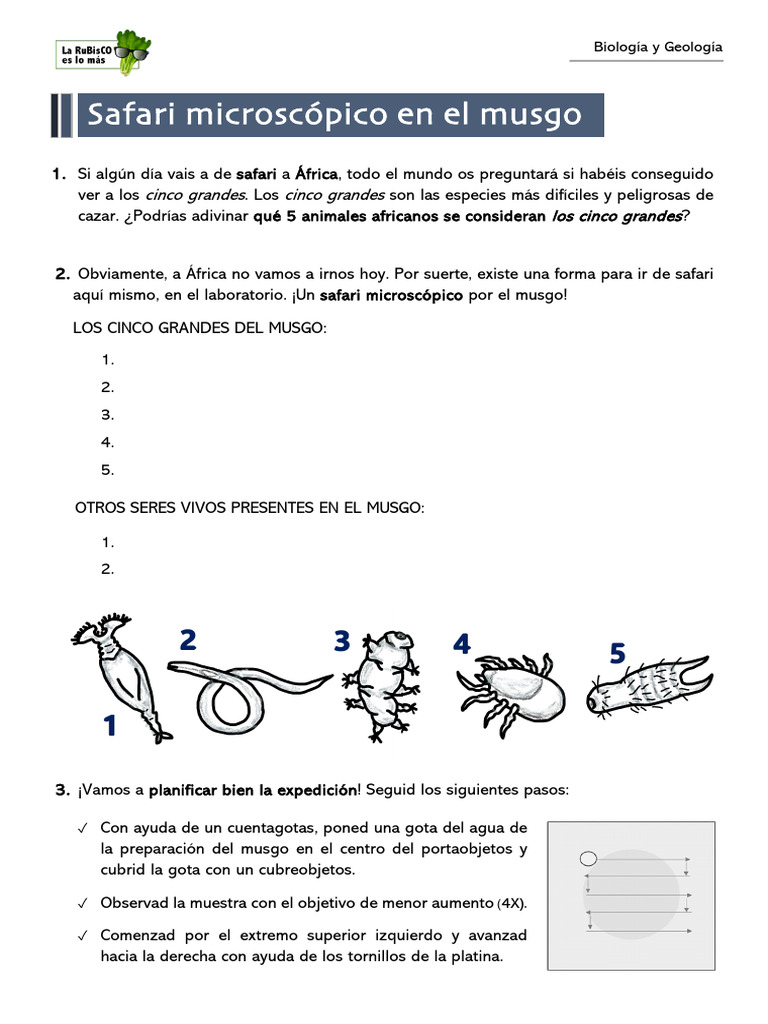 Safari Microscópico en el Musgo | PDF
