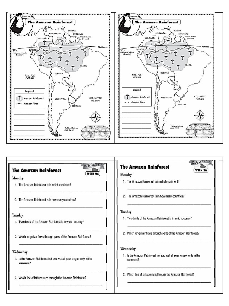 amazon Rainforest | PDF