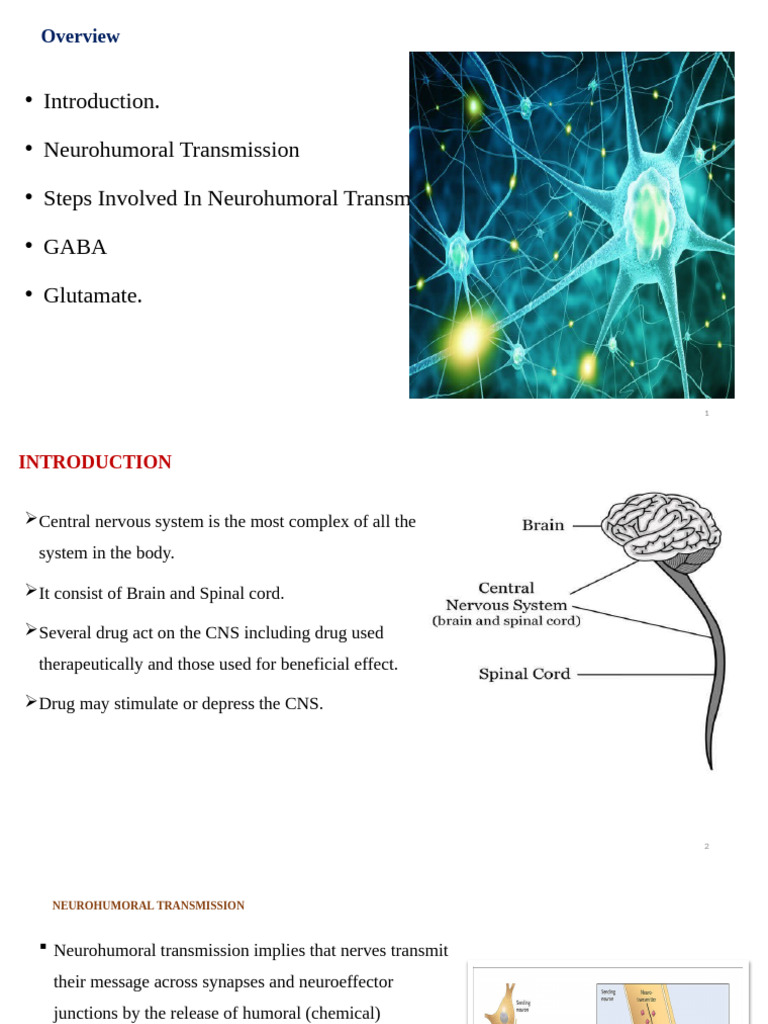 Neurohumoral Transmission Explained | PDF | Chemical Synapse ...