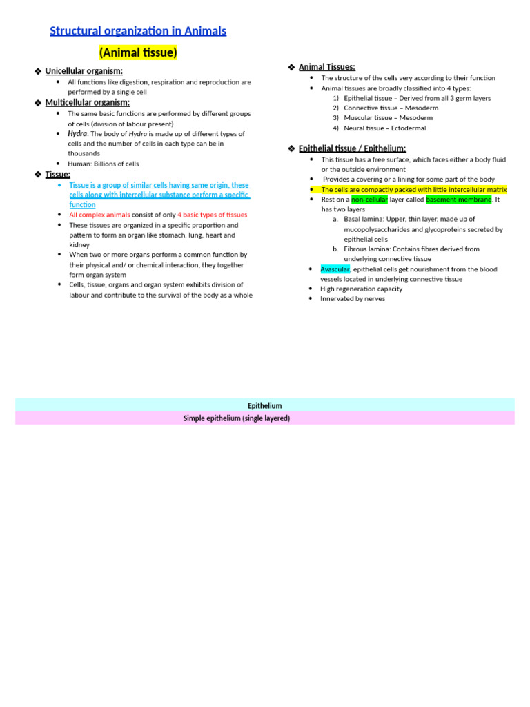 Structural Organization in Animals Epithelial Tissue Updated | PDF ...