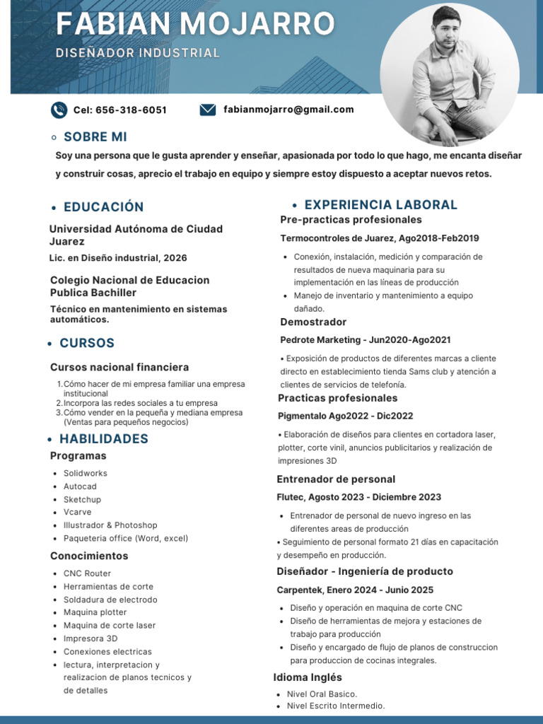 CV Fabian Mojarro | PDF