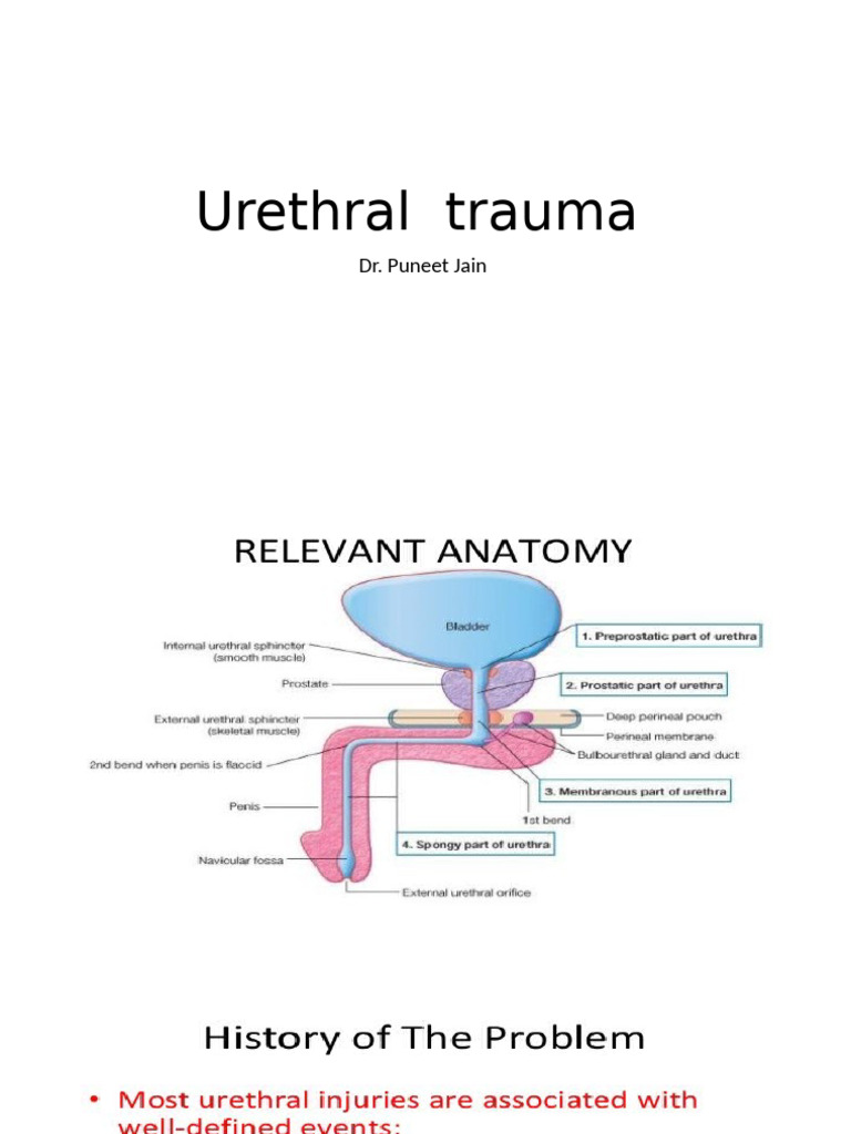 Urethral Trauma.. | PDF