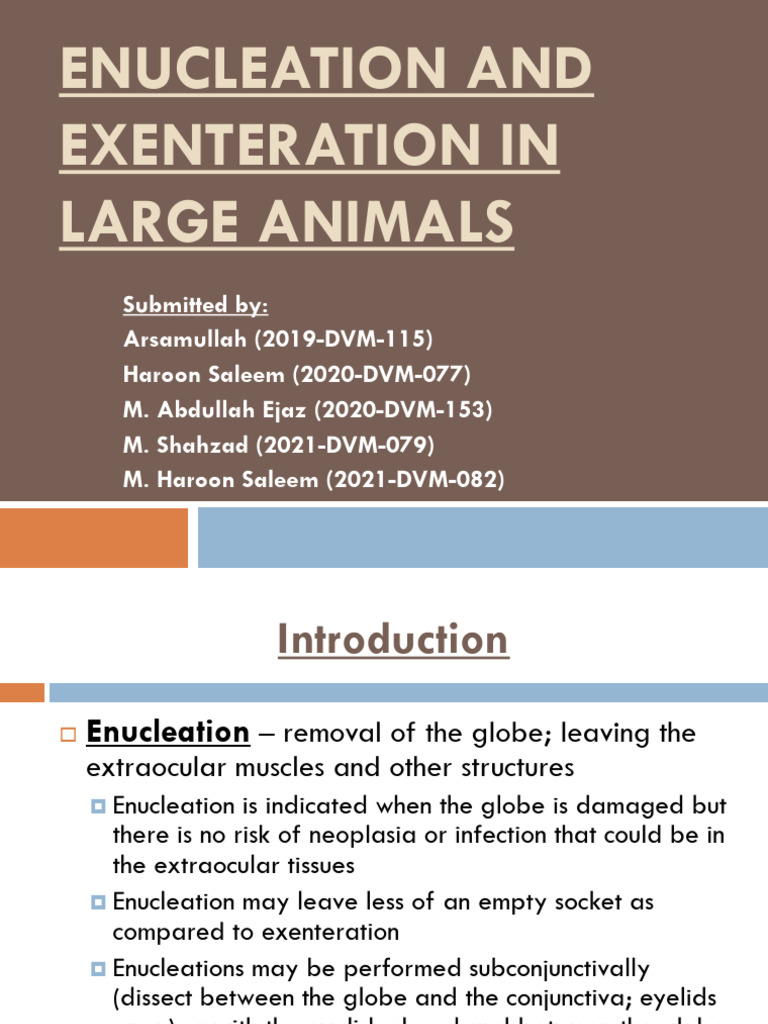Enucleation and Exenteration in Large Animals | PDF | Surgical Suture ...