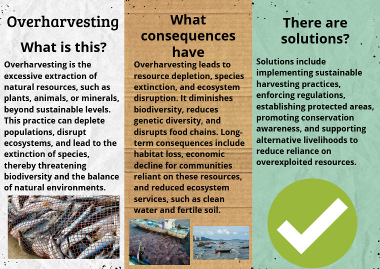 Overharvesting 20250814 220546 0000 | PDF