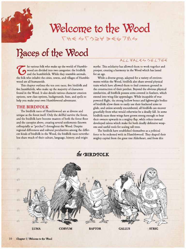 Races | PDF