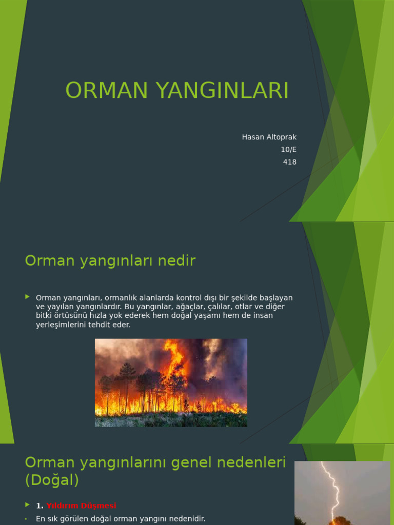Orman Yanginlari | PDF