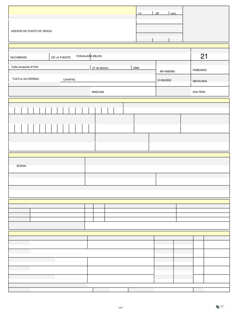Sne Solicitud de Empleo Plantilla PDF | PDF