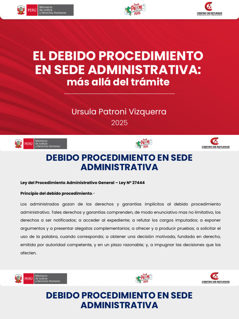 Debido Procedimiento Administrativo 2025 | PDF | Justicia | Crimen y ...