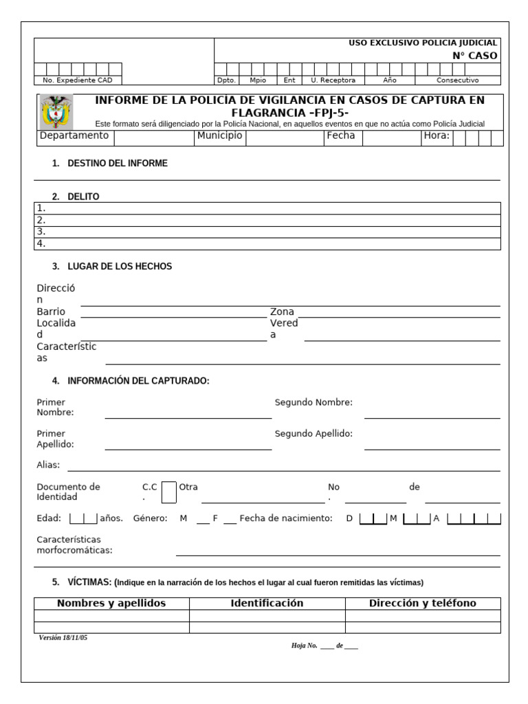 FPJ-05 Infor Polic Vigi en Flagrancia | PDF | Crímenes | Crimen y violencia